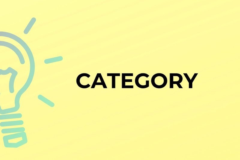 How to add a short product description in a WordPress category – WEBinP